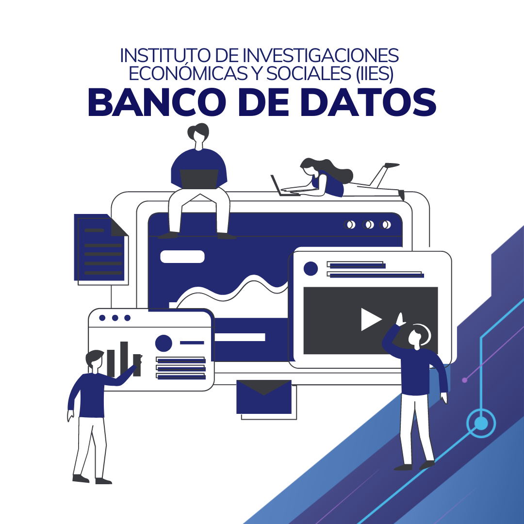 Banco de Datos – Instituto de Investigaciones Económicas y Sociales